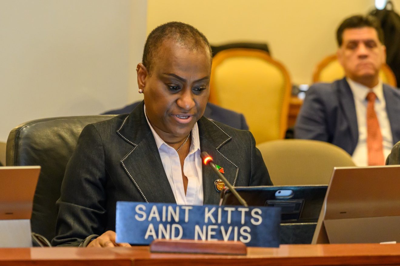 Saint Kitts and Nevis Reaffirms Commitment to the Universal Declaration ...